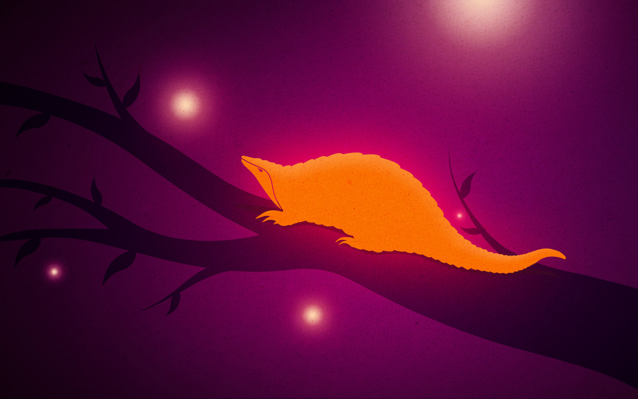 Einsteiger-Paket Ubuntu Linux 12.04 LTS "Precise Pangolin" zu verlosen ...