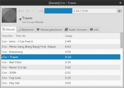 Raspberry Pi als Jukebox für Google Music, Spotify oder Musik vom NAS ...